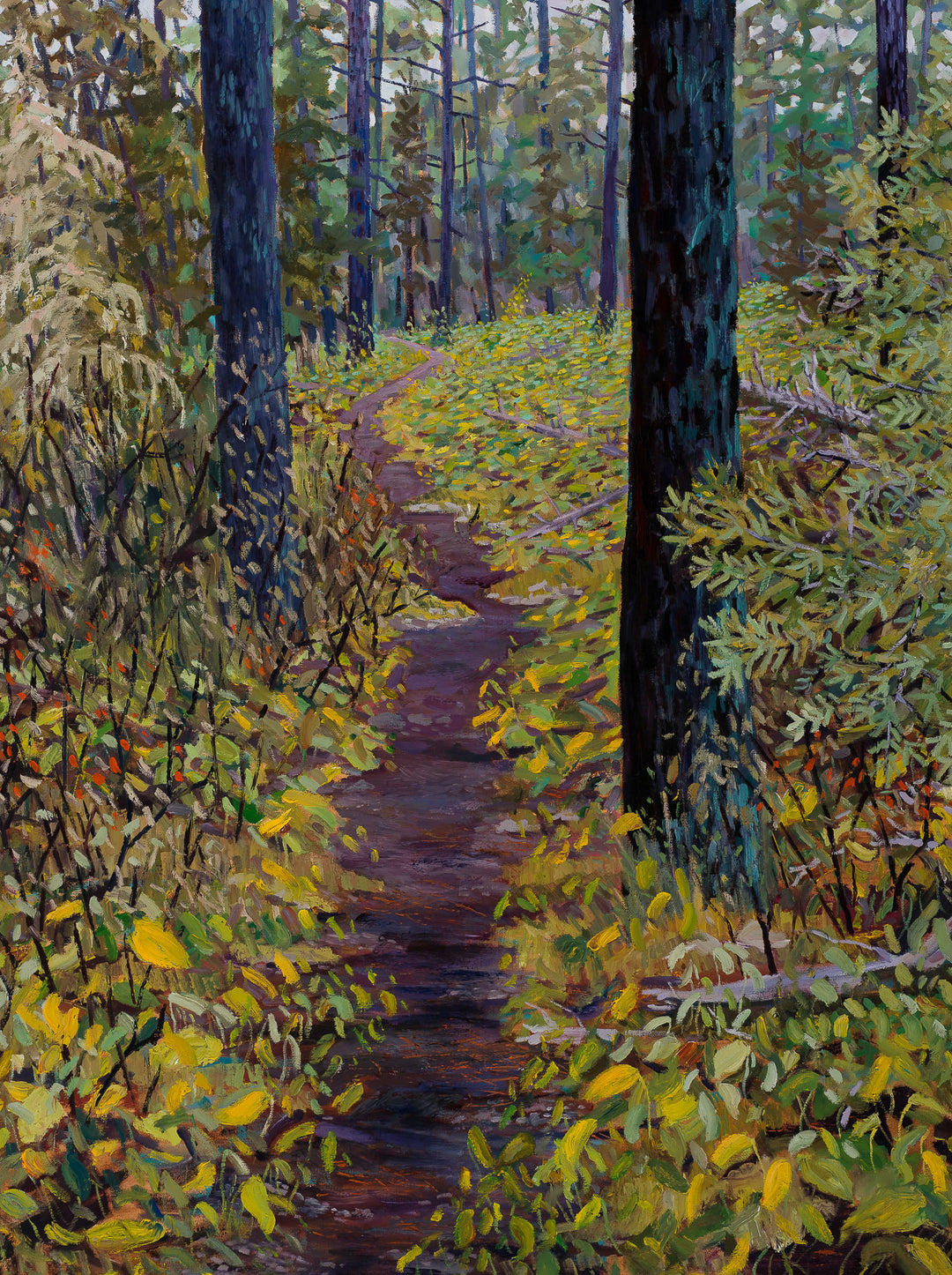 Northwoods Paintings by Dan Olson | Northland Art | Superior Artwork ...